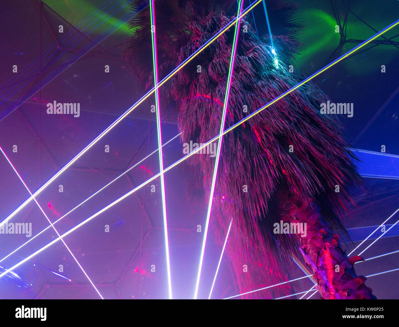 Eden project art rainforest hi-res stock photography and images - Alamy
