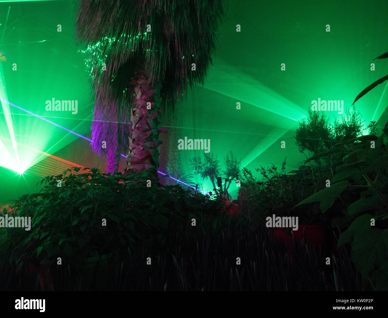 Eden project winter hi-res stock photography and images - Alamy