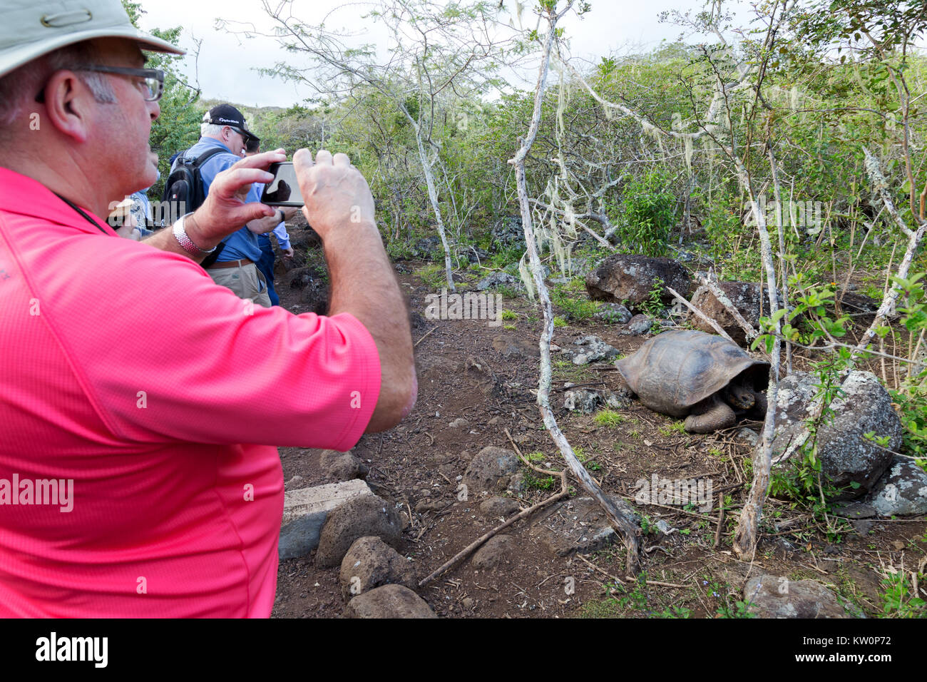 Tourist photographing Galapagos Giant tortoise, San Cristobal Island ...