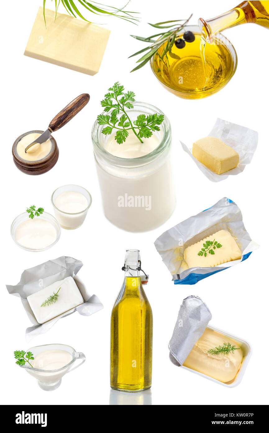 food Fats and oil : set of dairy product and oil and animal fats on a ...