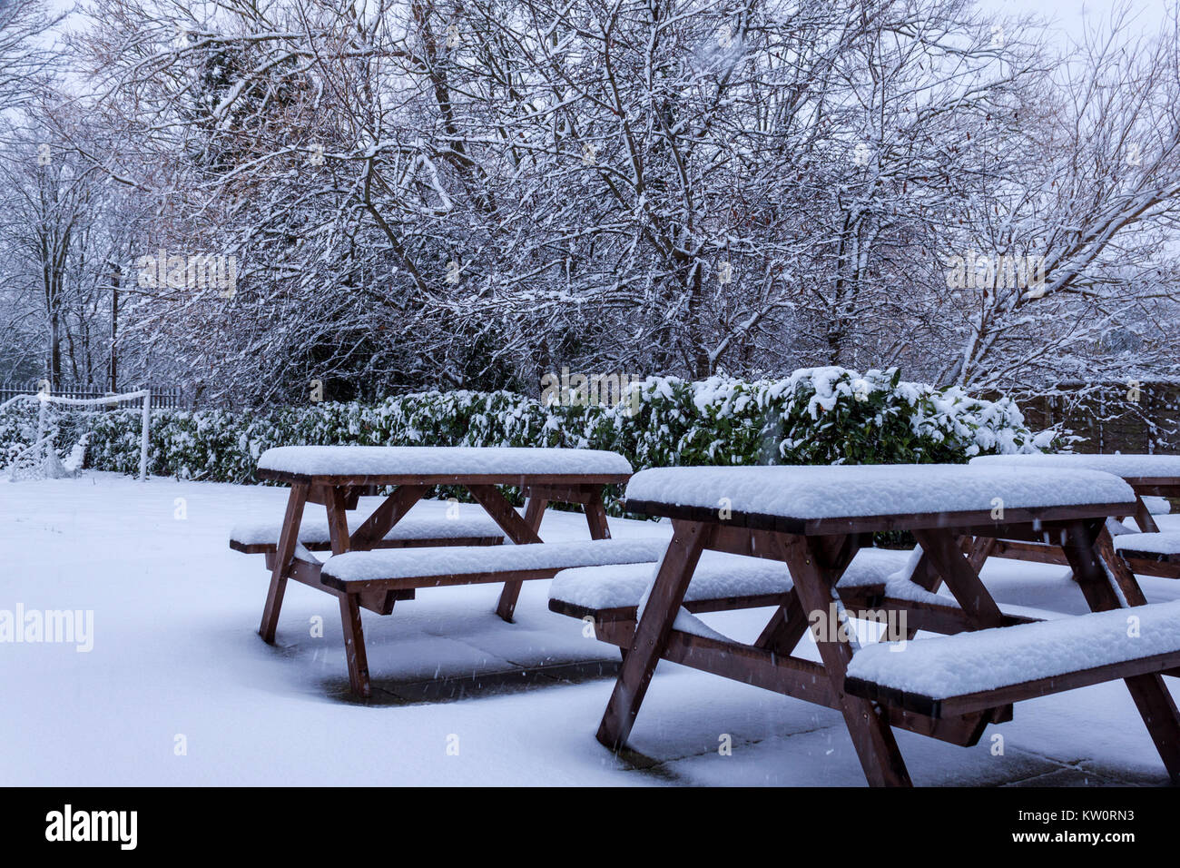 Snow covered winter trees and wooden picnic benches on a scenic patio ...