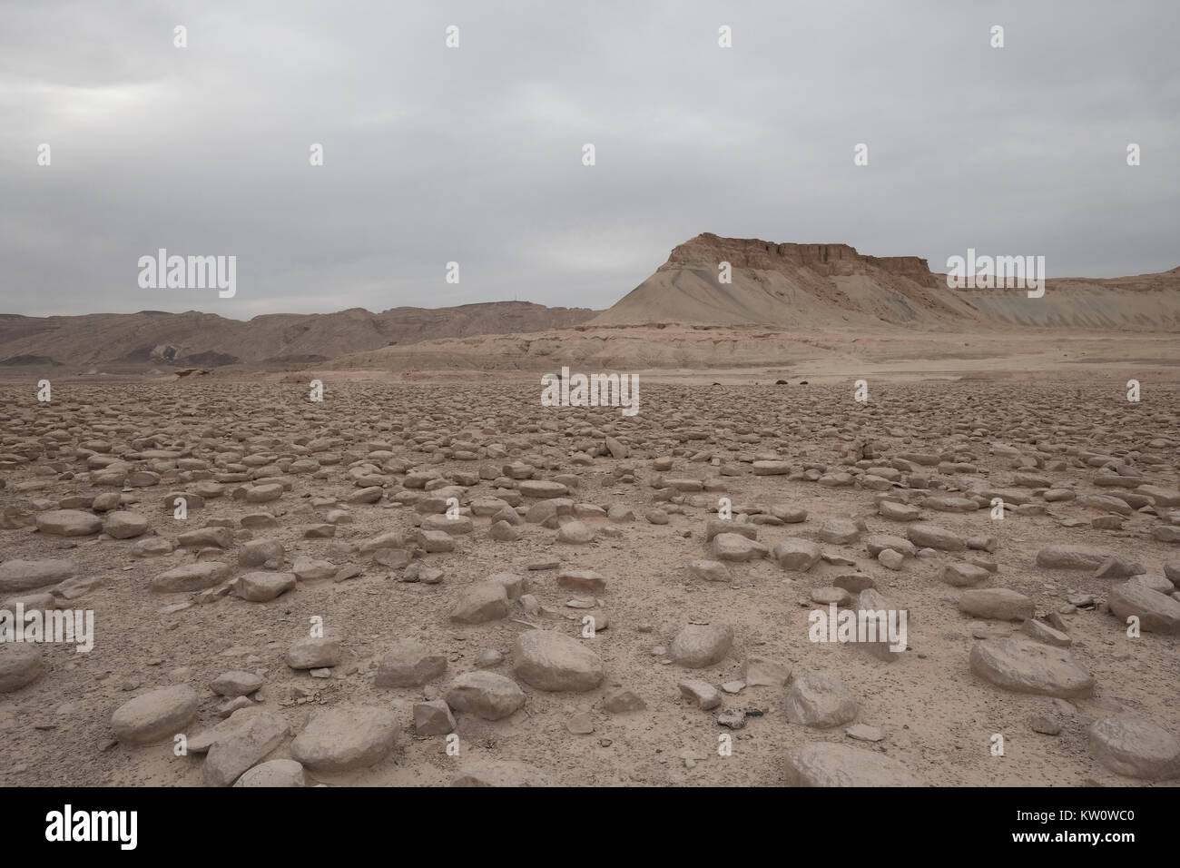 Potatoes-shaped rocks named "Bulbus" an Arabic name for potatoes, which ...