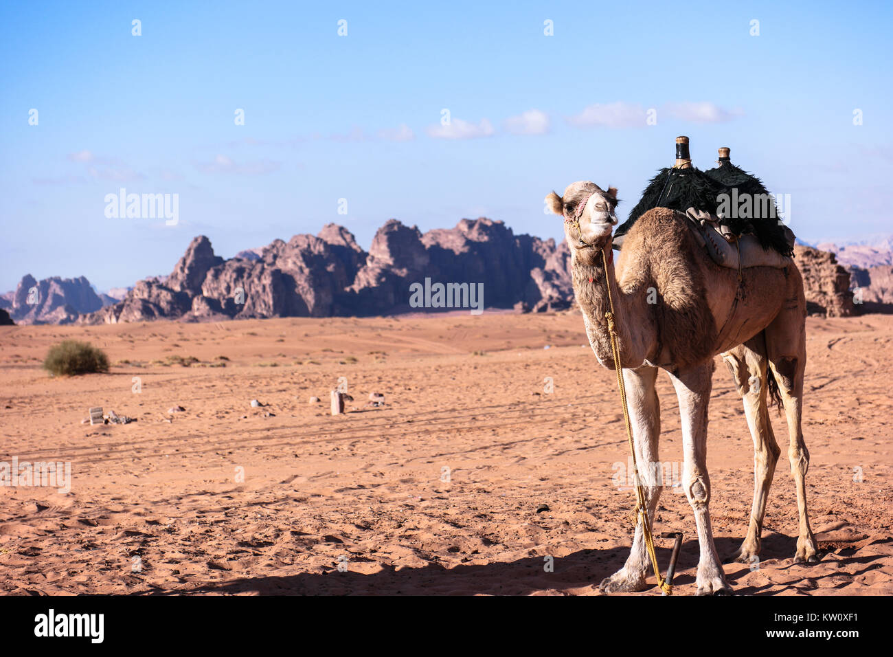 The taxi that transported us into the Valley of the Moon. Desert Cab ...