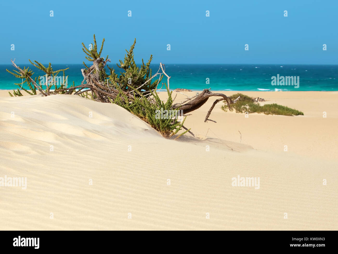 sand beach with blue sky, narrow depth of field Stock Photo - Alamy