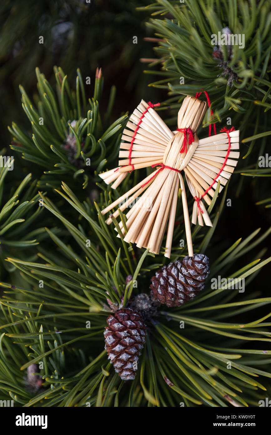 Straw angel in a christmas tree. Christmas decorations from straw ...