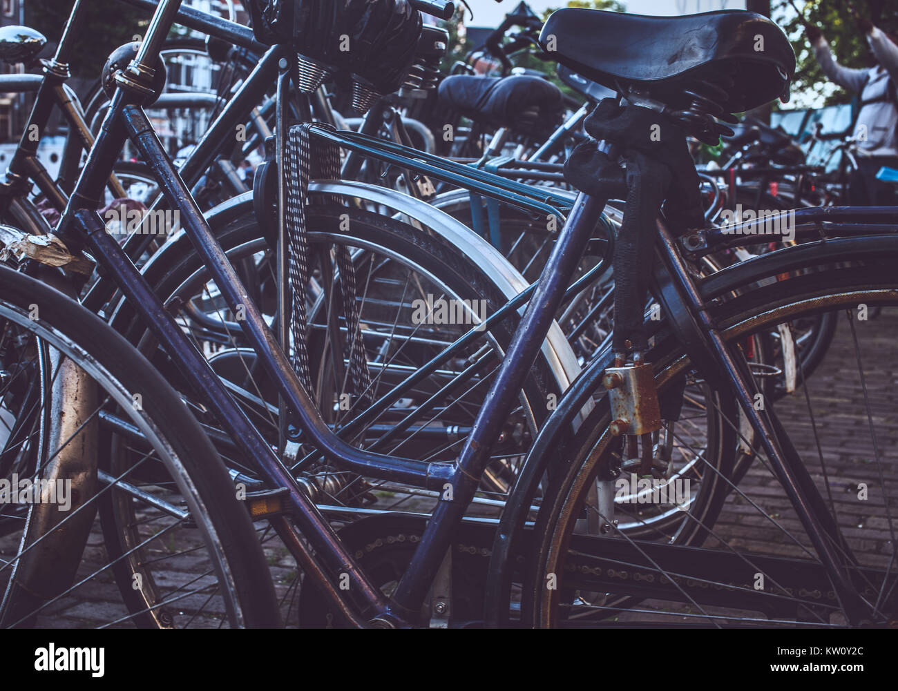 A lot of bicycles Stock Photo - Alamy