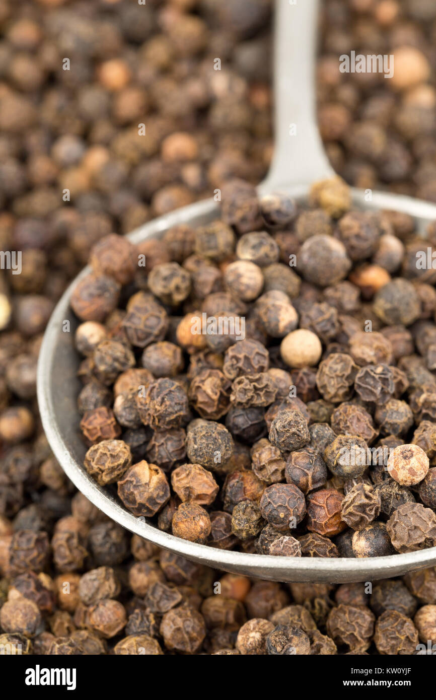 Raw, natural, unprocessed black pepper peppercorns in metal spoon on ...