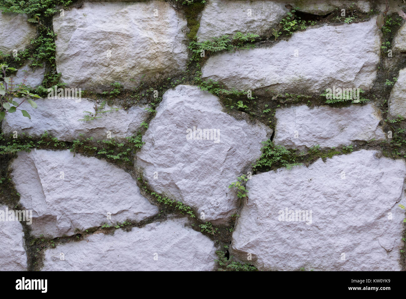 Cement wall texture Stock Photo - Alamy