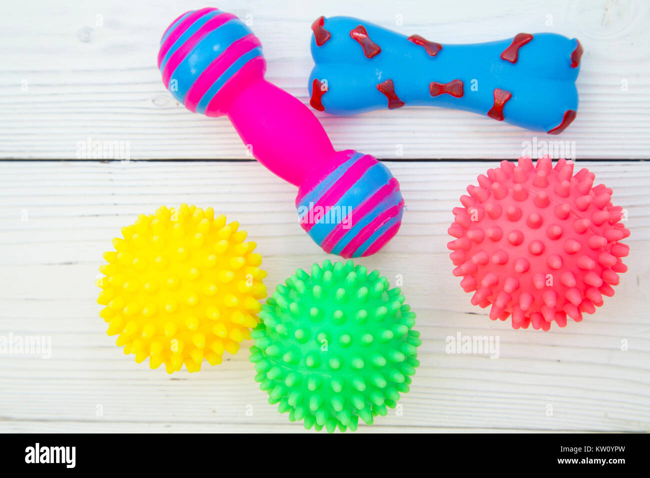 Pet care, veterinary, grooming concept. Pets having fun. Colorful ...