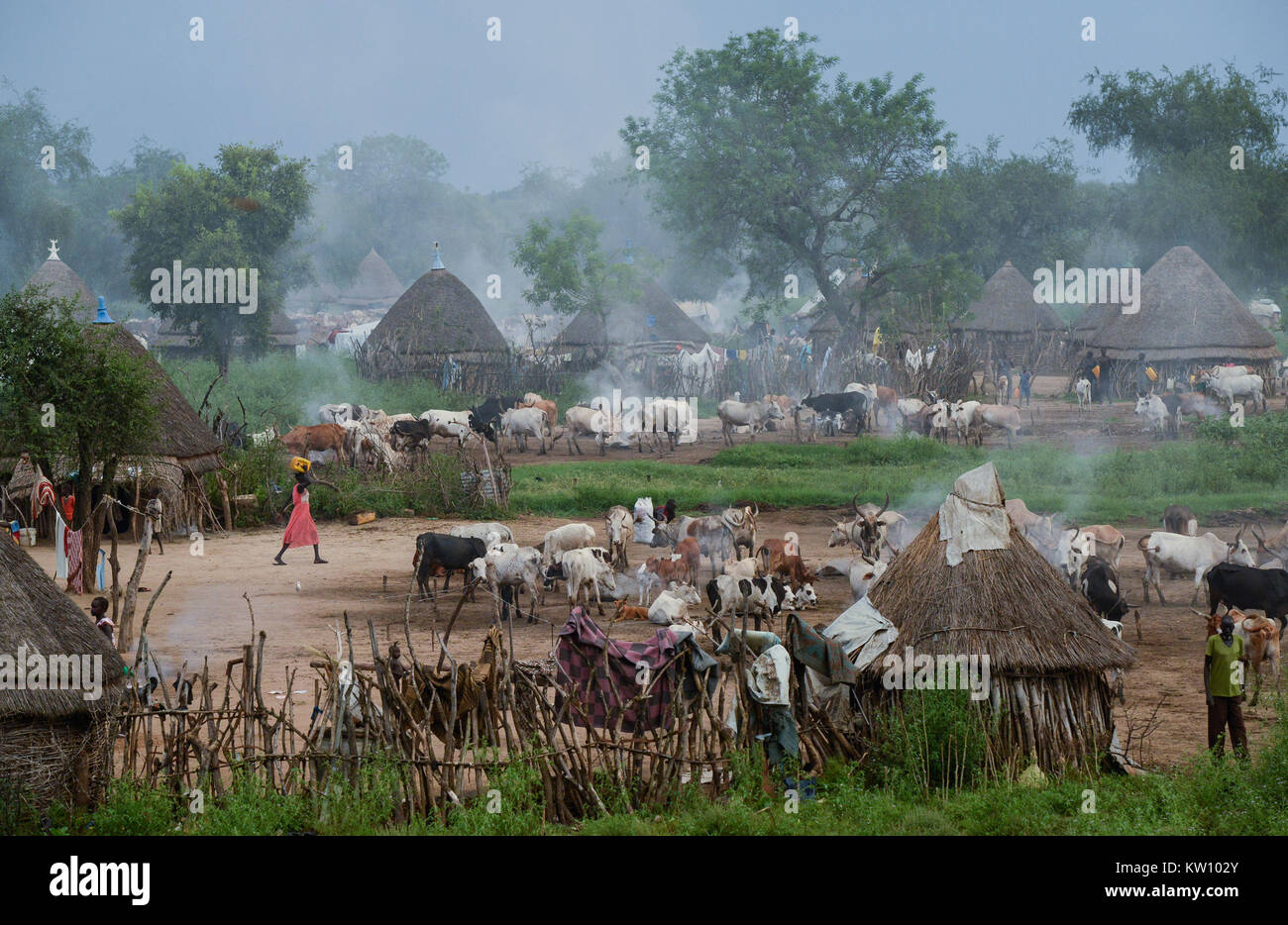 Nuer tribe cattle hi-res stock photography and images - Alamy