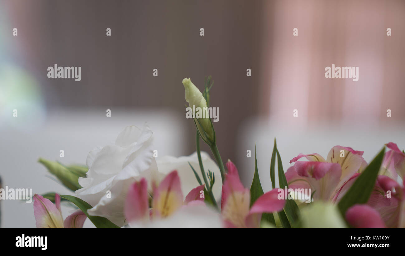 Beautiful bokeh flower hi-res stock photography and images - Alamy