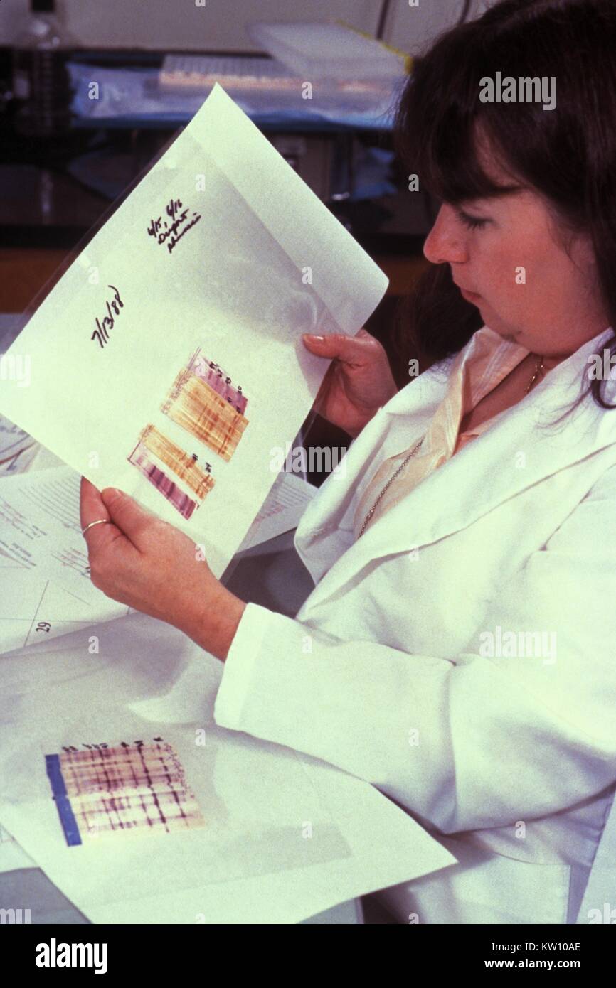 This CDC lab technician is working on AIDS research during a series of ...