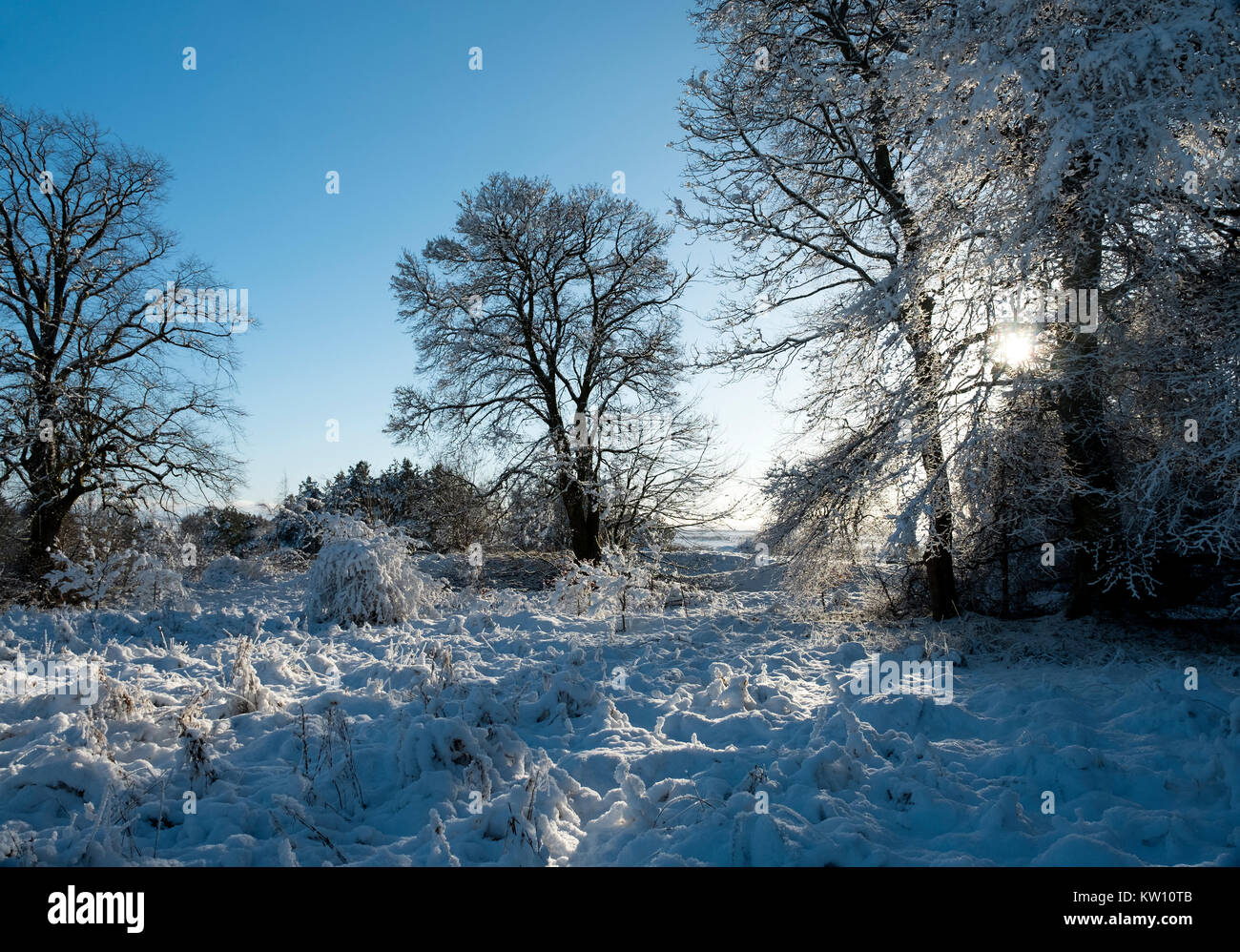 Winter sunshine in scotland hi-res stock photography and images - Alamy