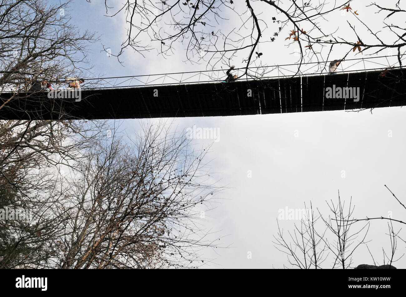 Hanging bridge, Rock City, Lookout Mountain, Georgia, USA Stock Photo ...