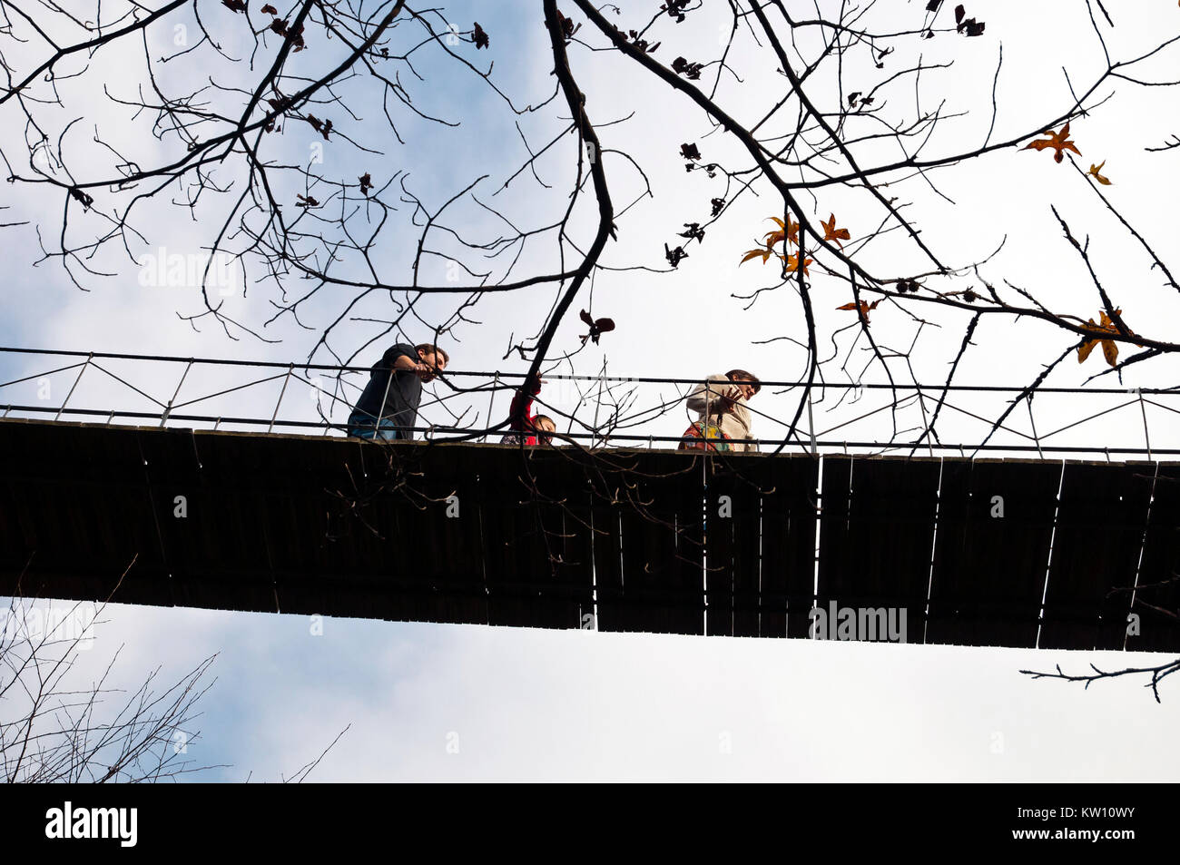 Hanging bridge, Rock City, Lookout Mountain, Georgia, USA Stock Photo ...