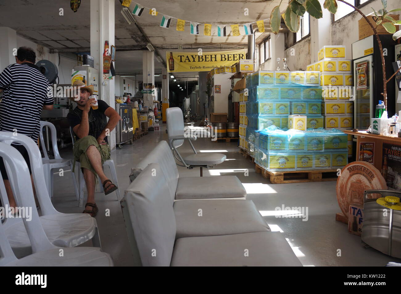 A tourist is drinking a beer in Taybeh Brewing Company in Palestine ...