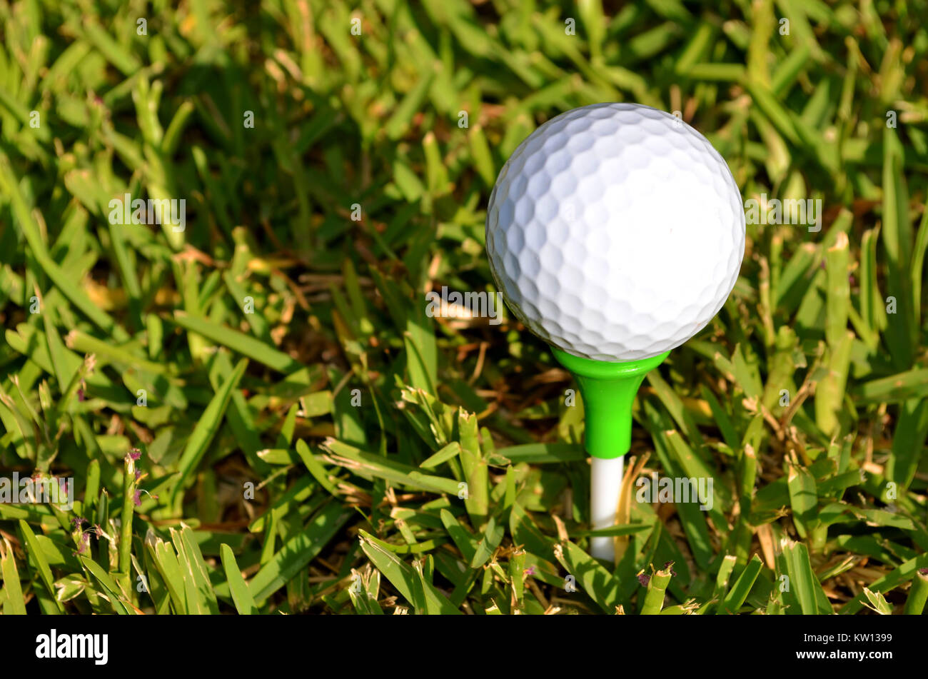 Golf ball on tee Stock Photo - Alamy