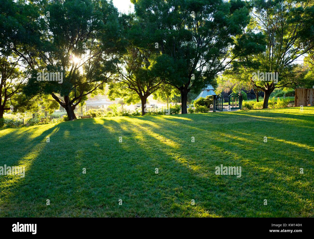 At Heather Farms Park, a public park in the San Francisco Bay Area ...