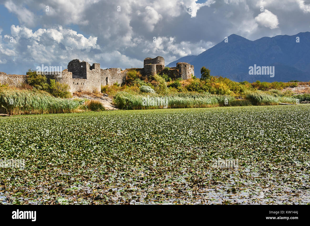 Stone ruins of the castle at Skadar Lake in Montenegro Stock Photo - Alamy