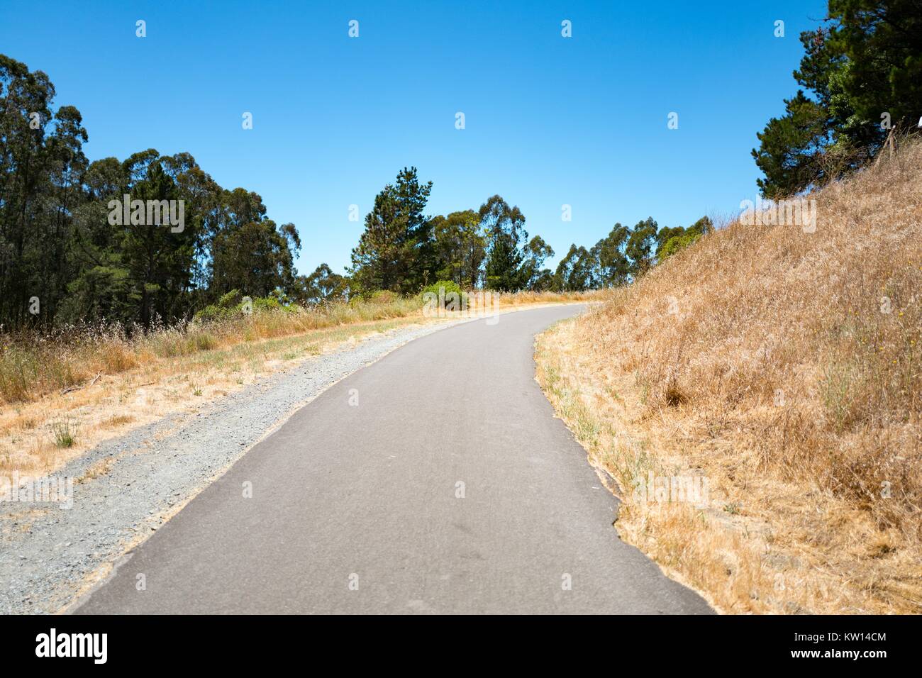Nimitz Way trail, with dry brush on each side of the trail, in Tilden ...