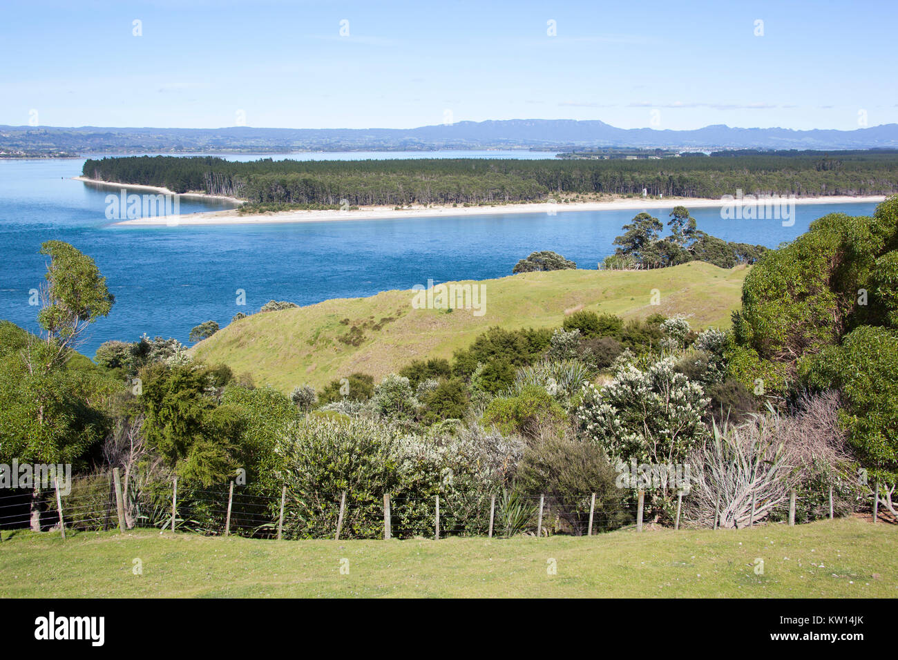 Matakana new zealand hi-res stock photography and images - Alamy