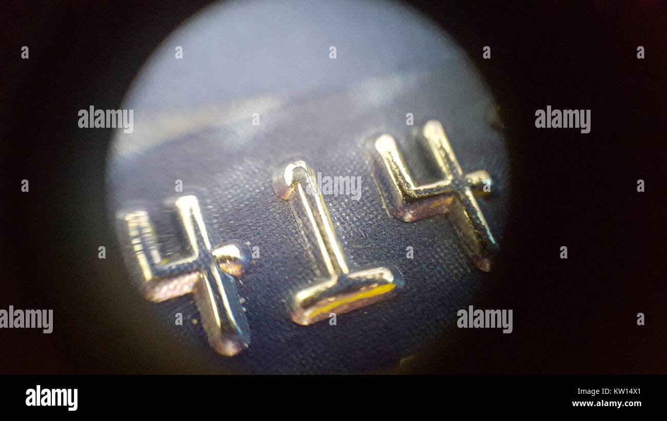 Light microscope image at approximately 30x magnification showing the ...