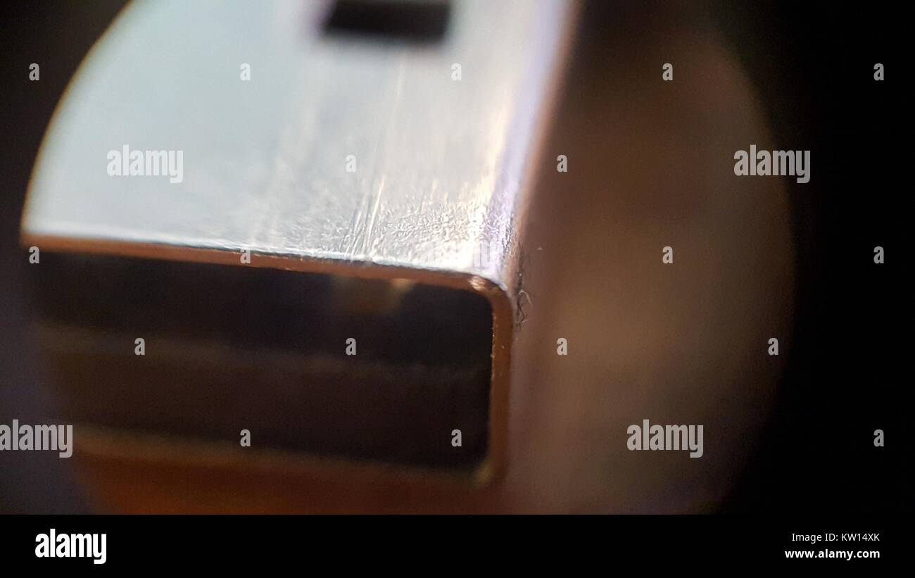 Light microscope image at approximately 30x magnification showing the ...