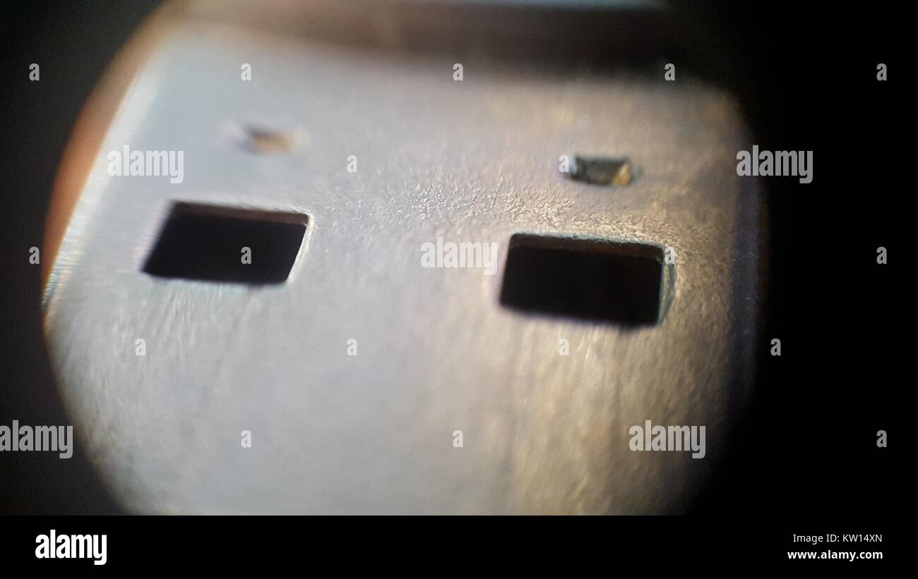 Light microscope image at approximately 30x magnification showing the ...