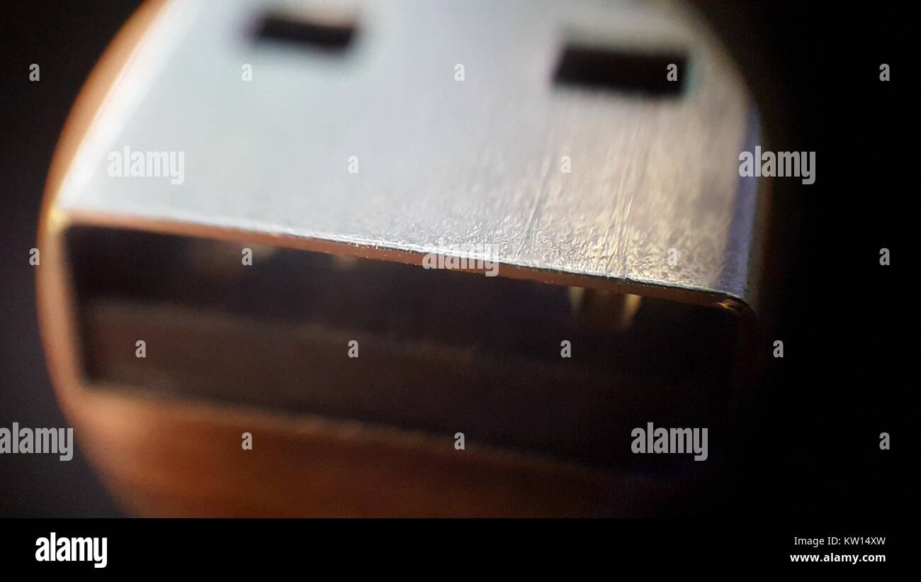 Light microscope image at approximately 30x magnification showing the ...