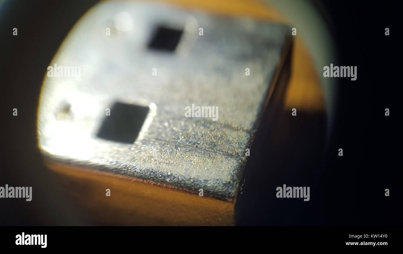 Light microscope image at approximately 30x magnification showing the ...