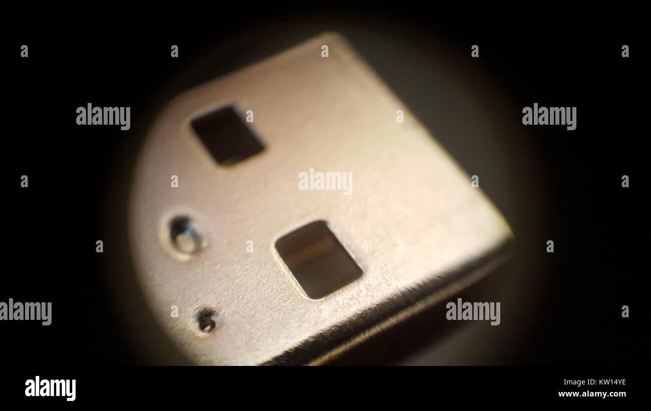 Light microscope image at approximately 30x magnification showing the ...