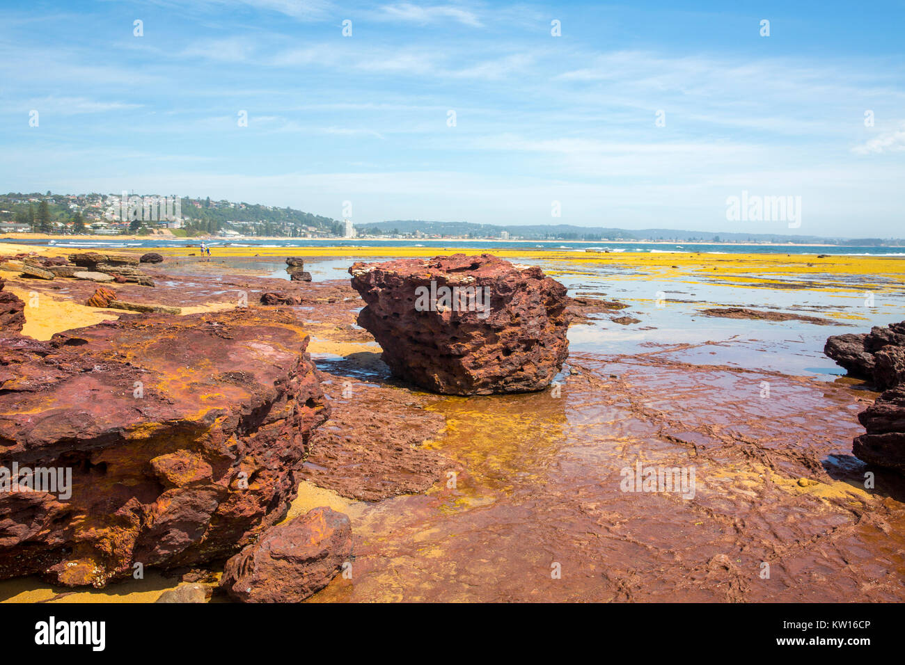 Long reef aquatic reserve hi-res stock photography and images - Alamy