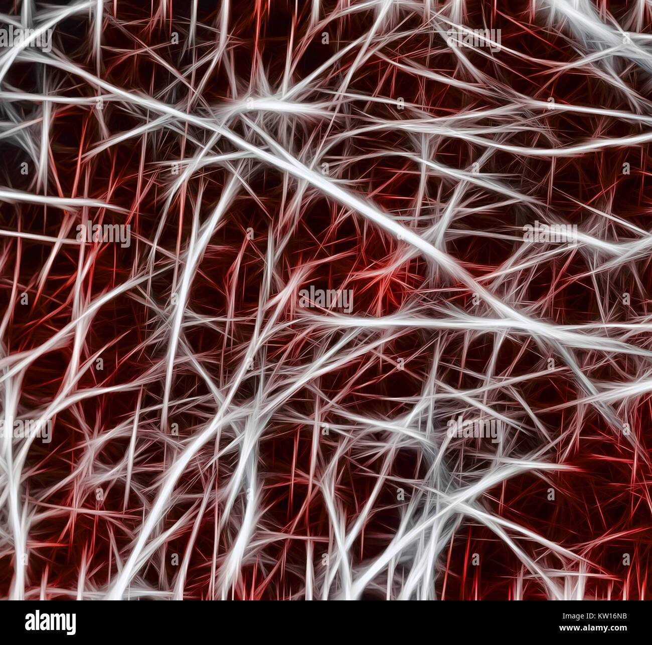 Axons hi-res stock photography and images - Alamy