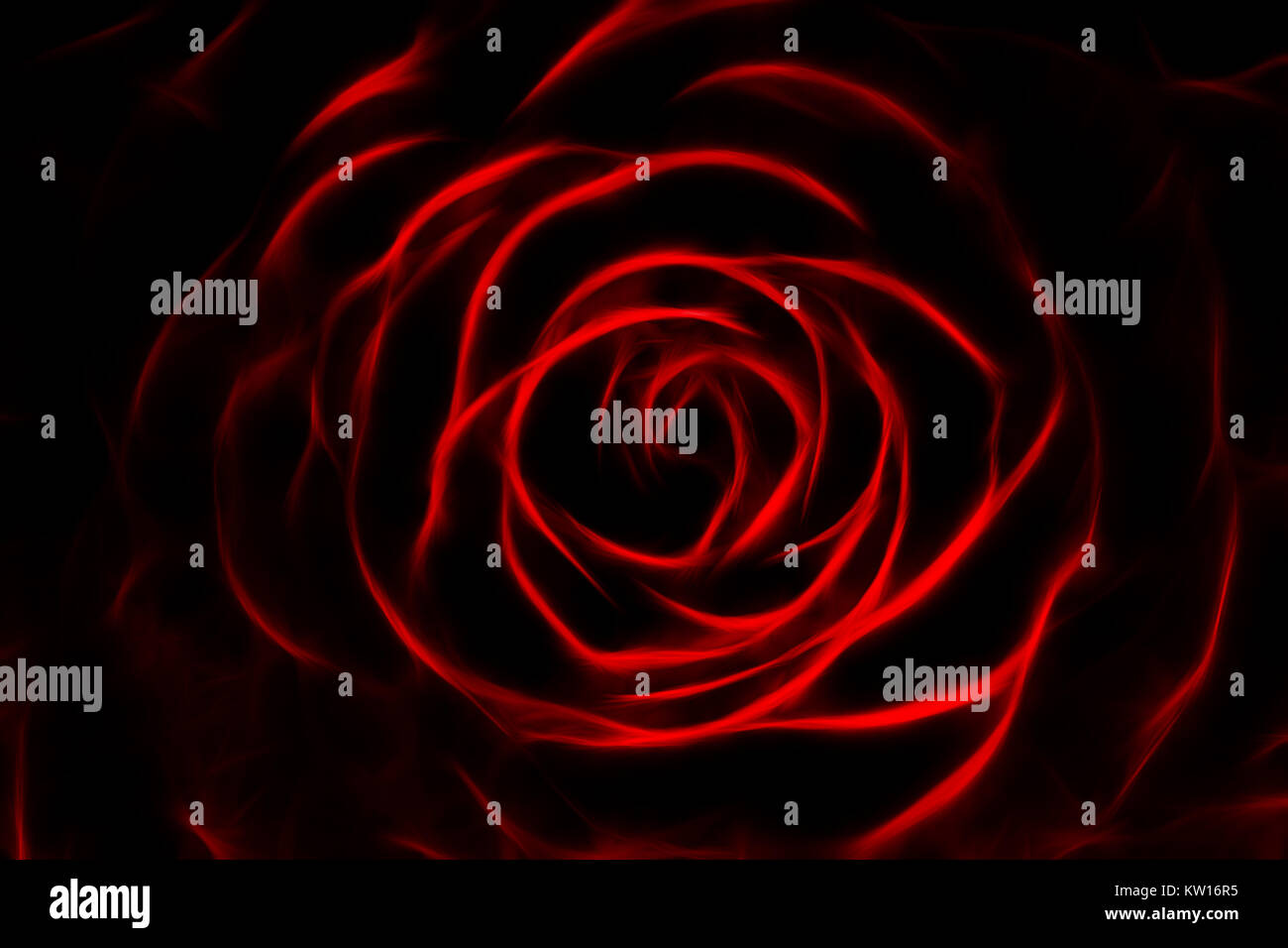 Rose flower, Abstract image Stock Photo - Alamy