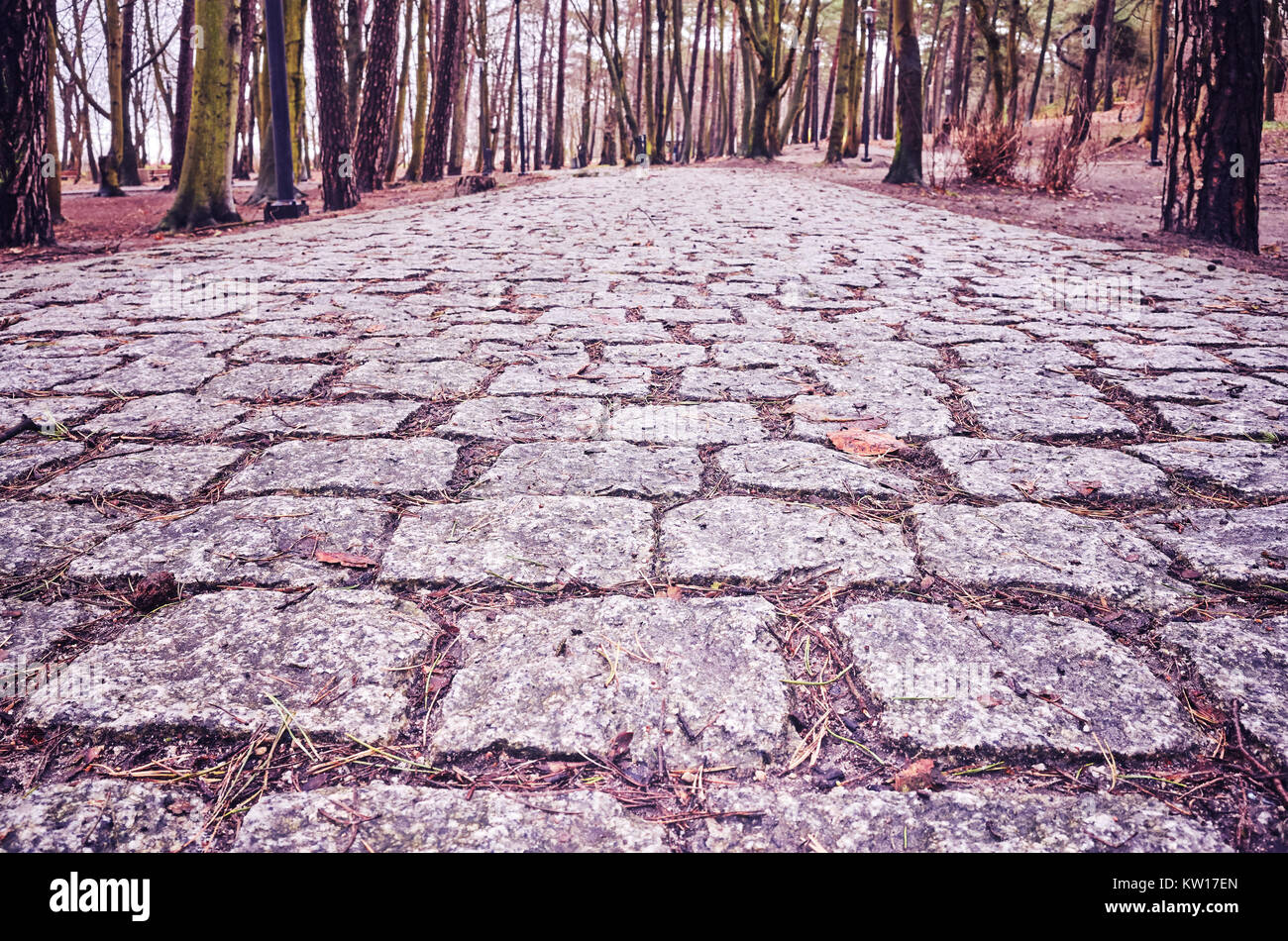 Cobblestone path in a park, close up color toned picture, shallow depth ...