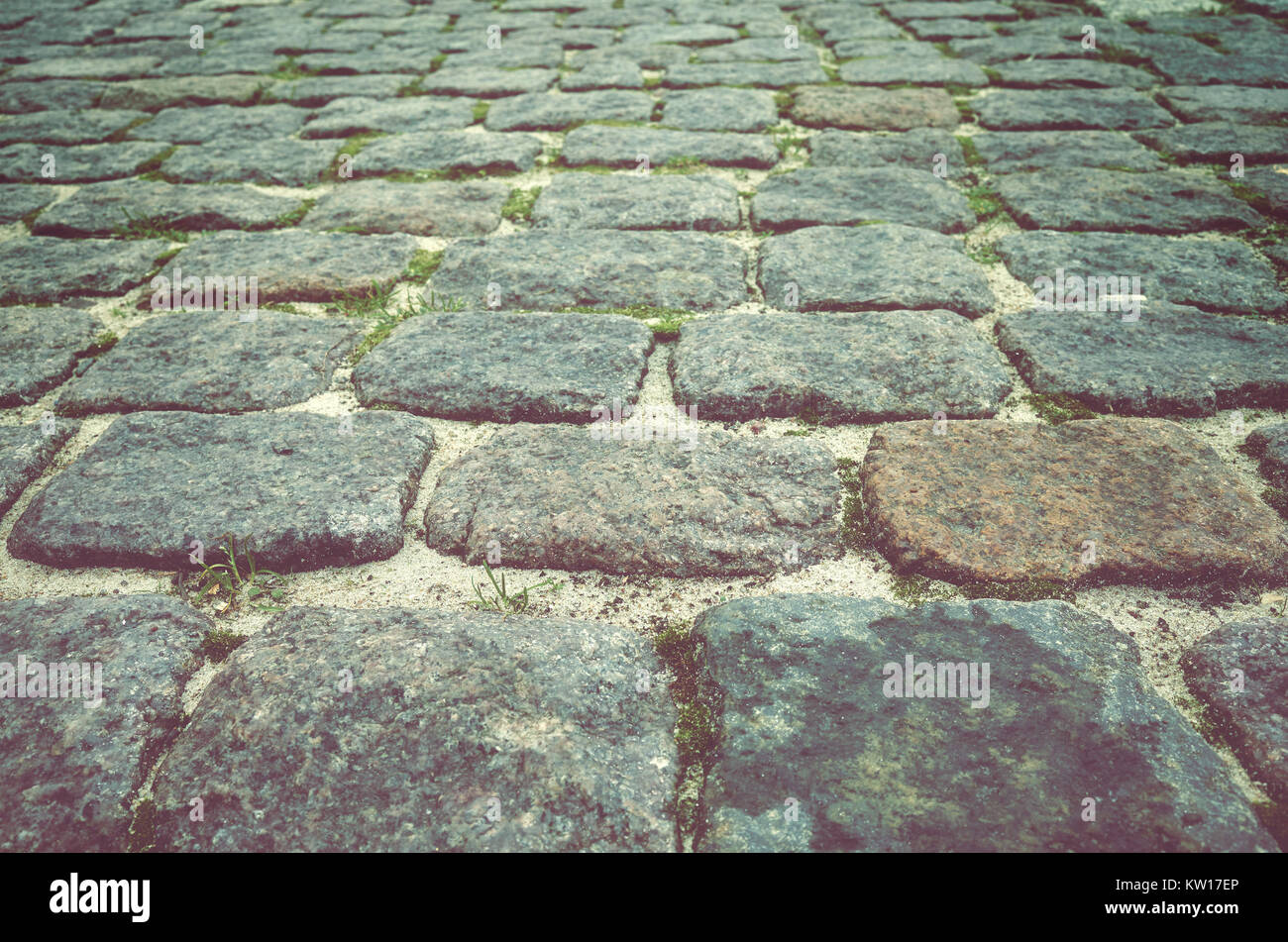 Cobblestone path in a park, close up color toned picture, shallow depth ...