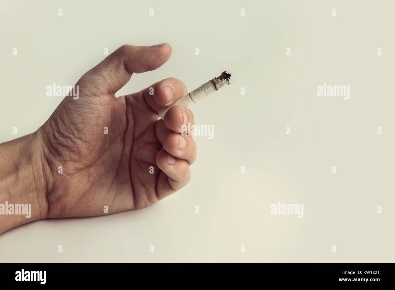 Studio shoot of hand holding a cigarette on the white background Stock ...