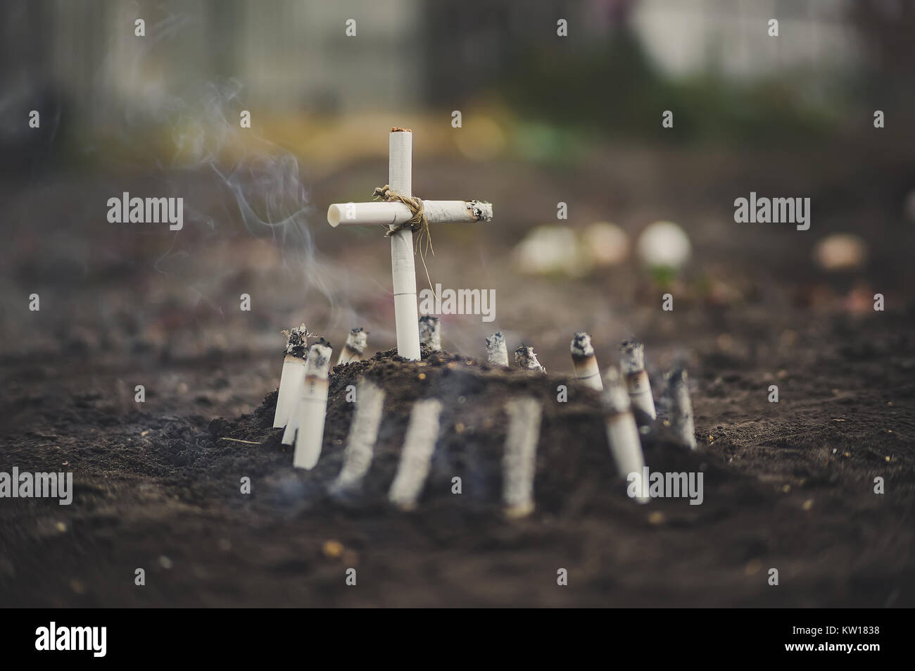 Symbolic grave of tobacco and a cross of cigarettes. Death from lung ...