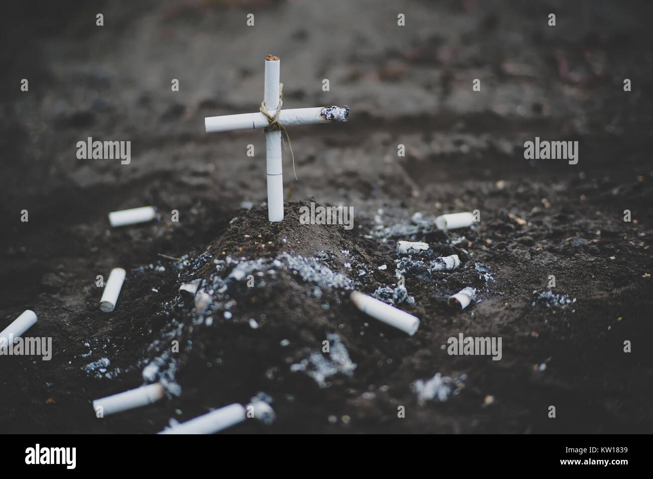 A cemetery with a grave made of cigarettes. Death by harm from nicotine ...