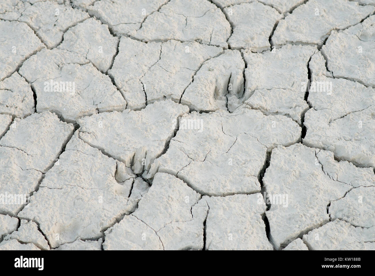 Earth level hi-res stock photography and images - Alamy