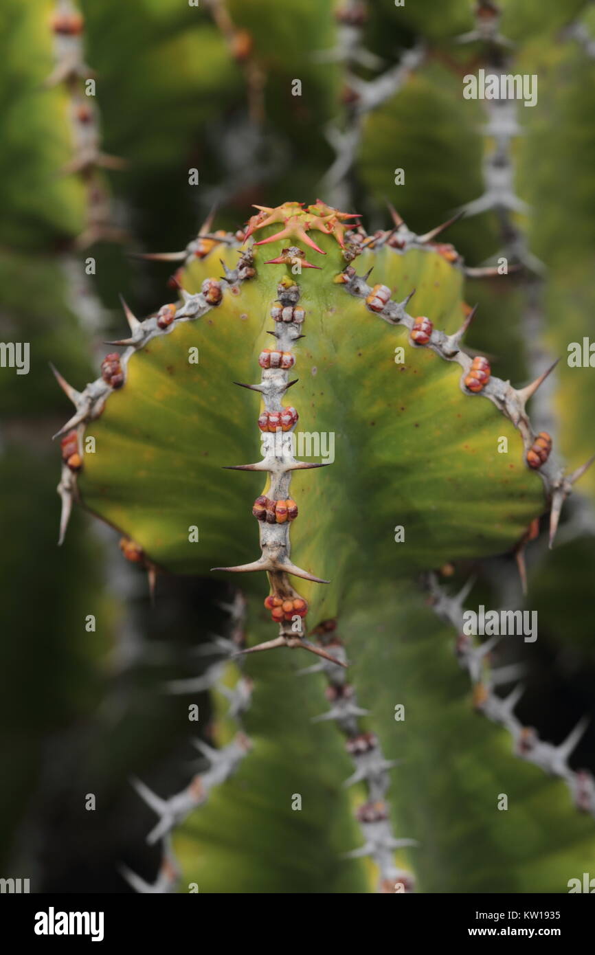 Marginal ecosystem hi-res stock photography and images - Alamy