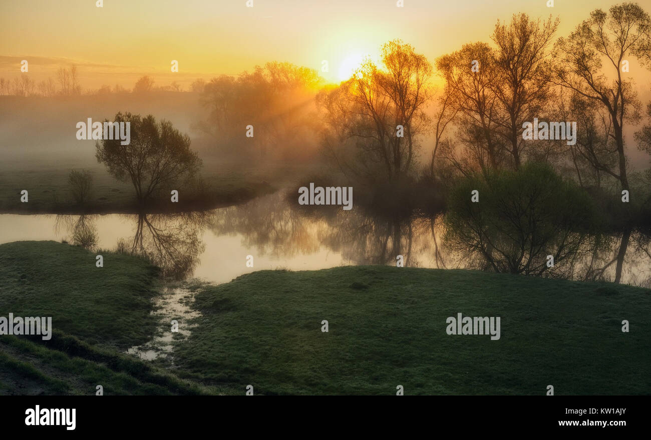 Sun rays. a picturesque foggy morning. spring dawn Stock Photo - Alamy