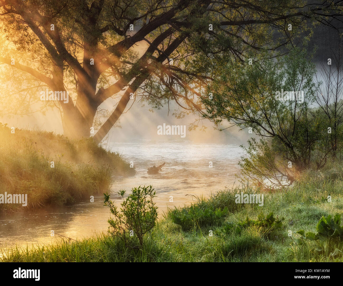 Sun rays. a picturesque foggy morning. spring dawn Stock Photo - Alamy