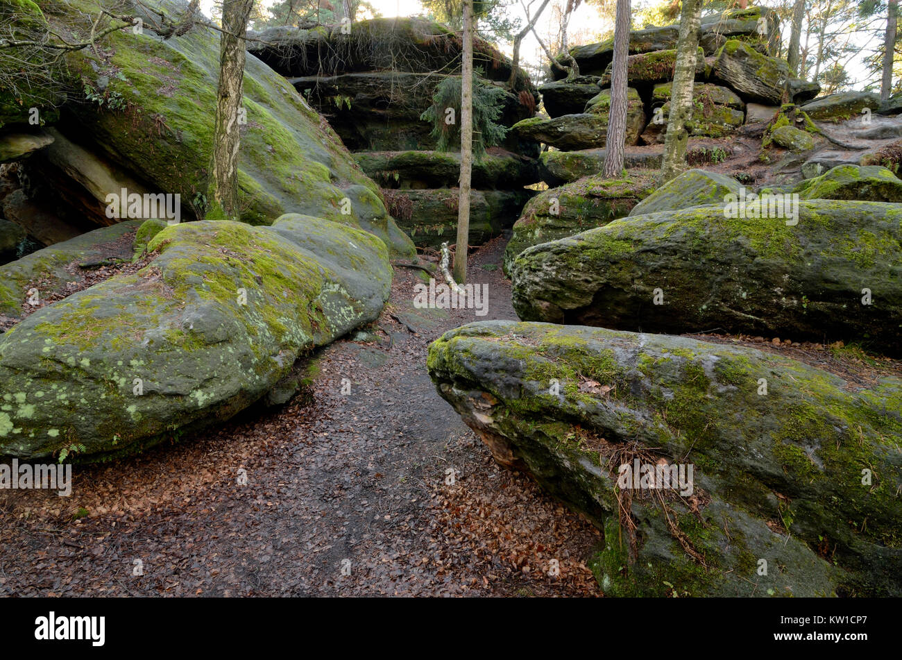 Labyrinth nature reserve hi-res stock photography and images - Alamy