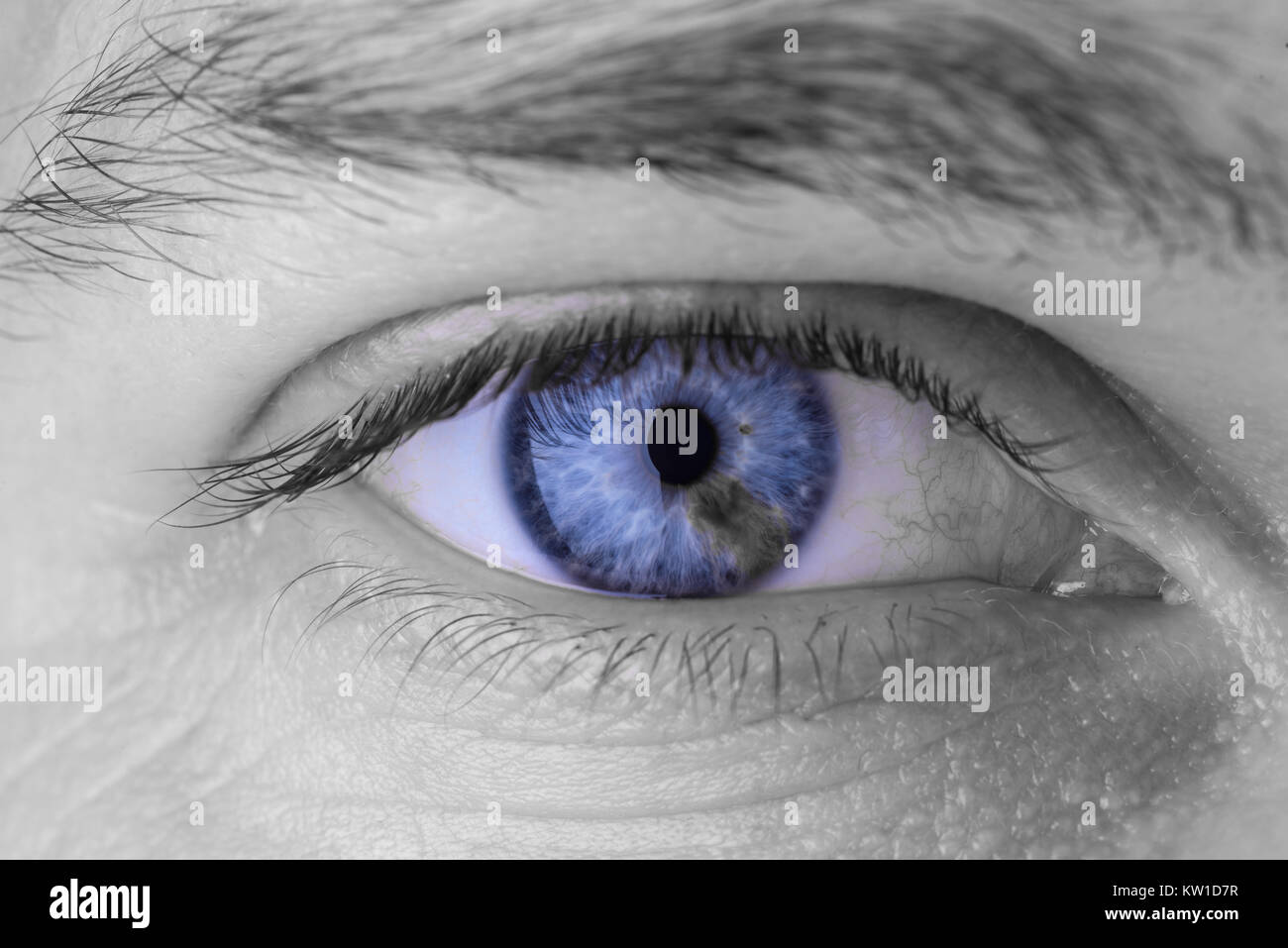 the piercing male gaze, blue eyes with grey specks Stock Photo - Alamy