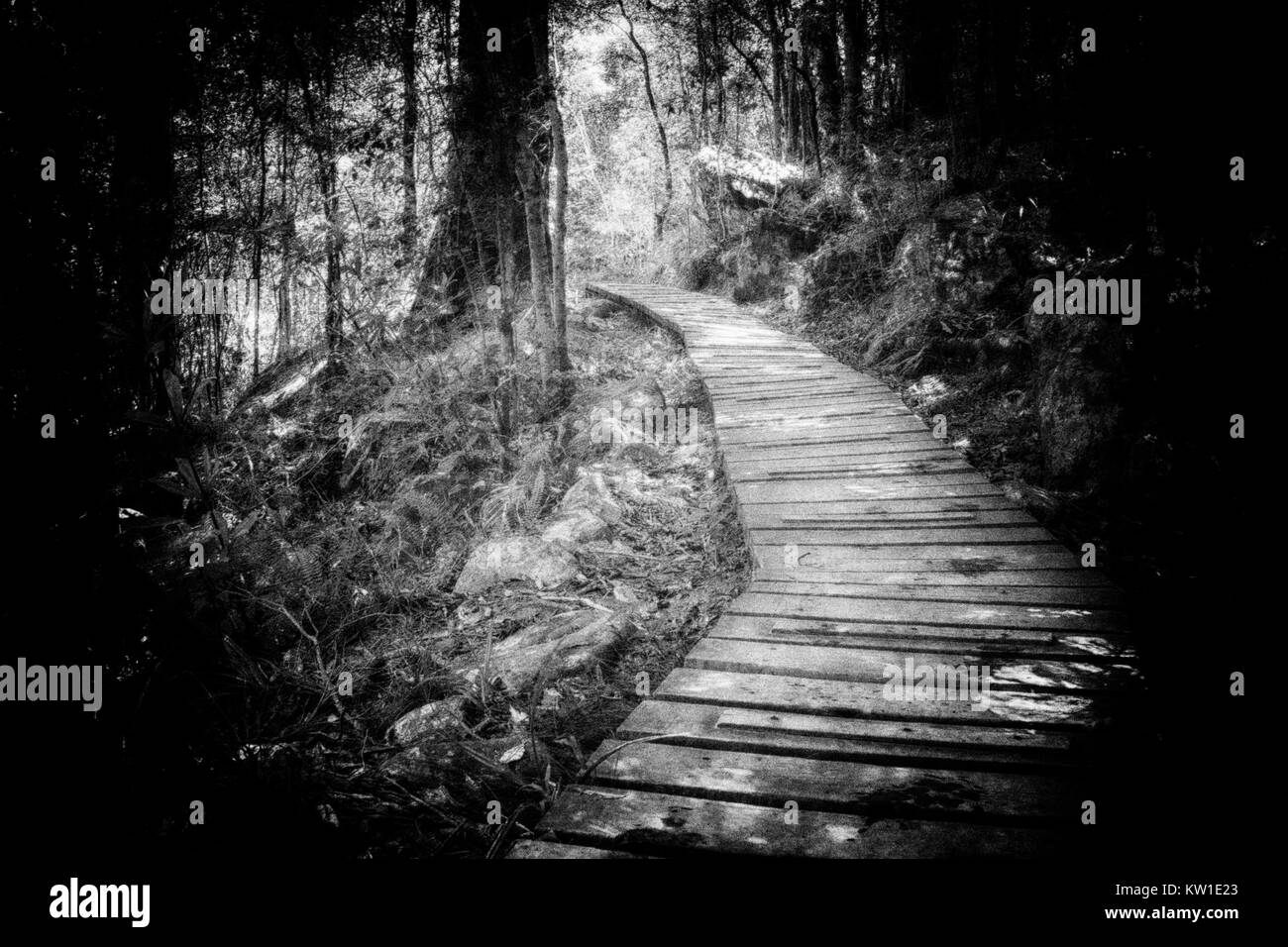 Alamy exclusive Black and White Stock Photos & Images - Alamy