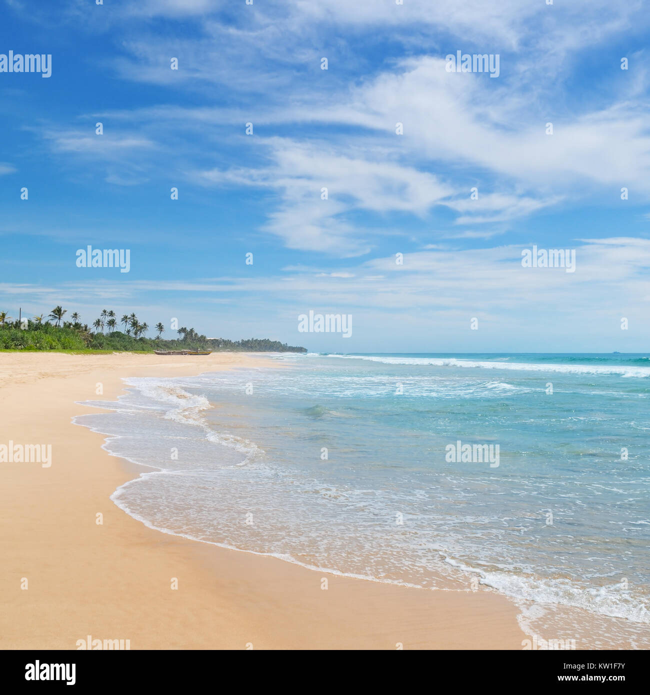 Indian ocean bay coconut palms hi-res stock photography and images - Alamy