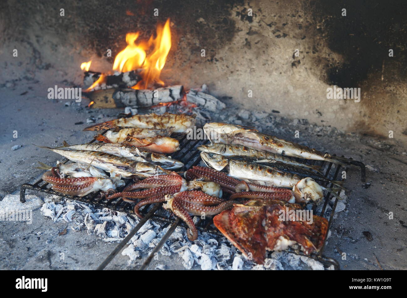 Adriatic octopus hi-res stock photography and images - Alamy