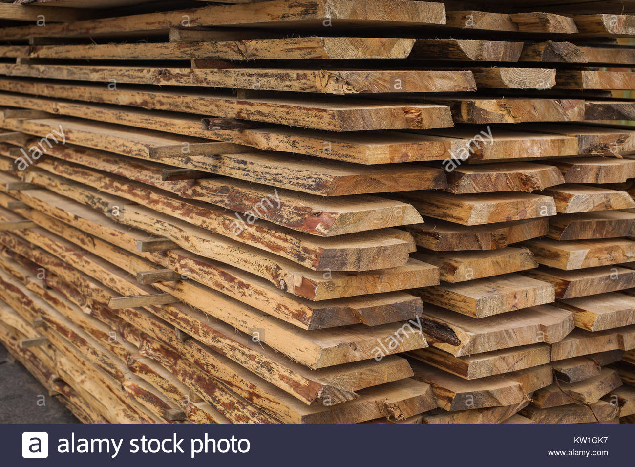 Drying Timber Stock Photos & Drying Timber Stock Images - Alamy