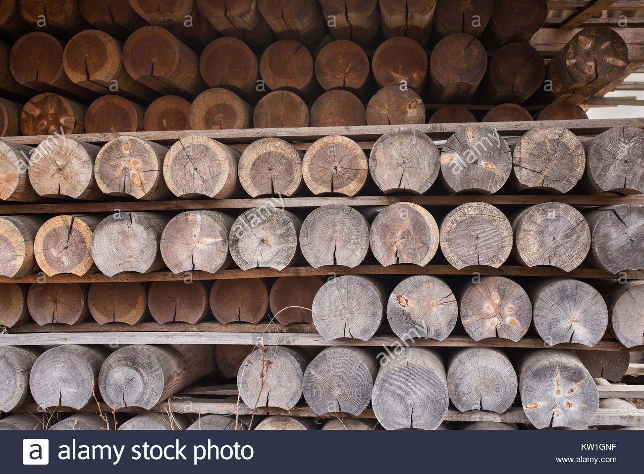 Timber Processing Stock Photos & Timber Processing Stock Images - Alamy